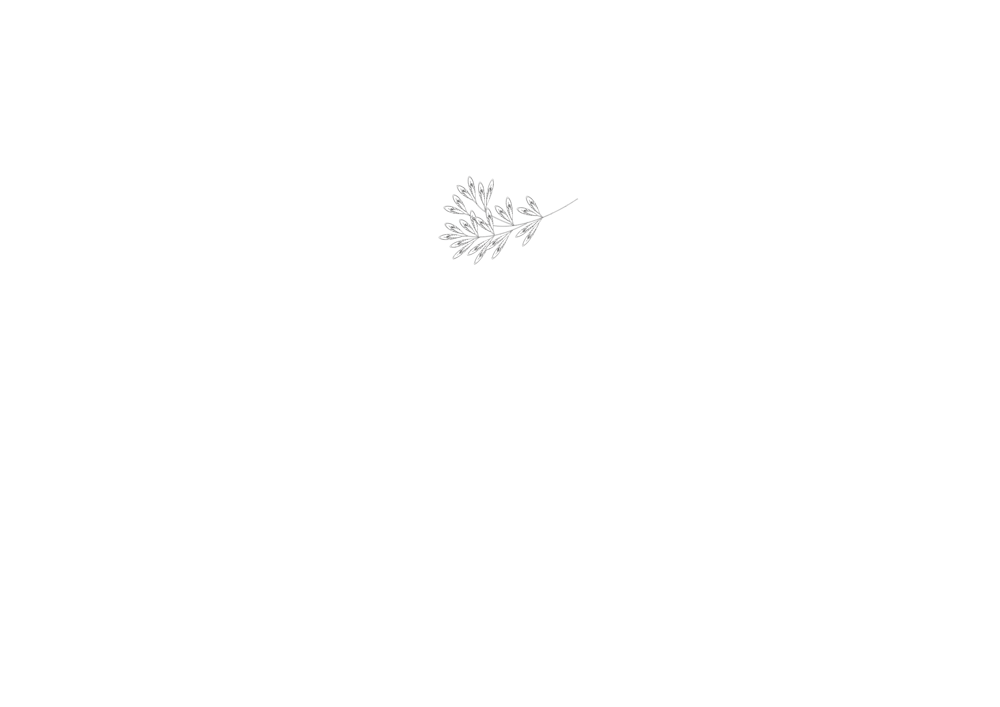 Hochzeitsfotograf Hamburg - Maleen Johannsen